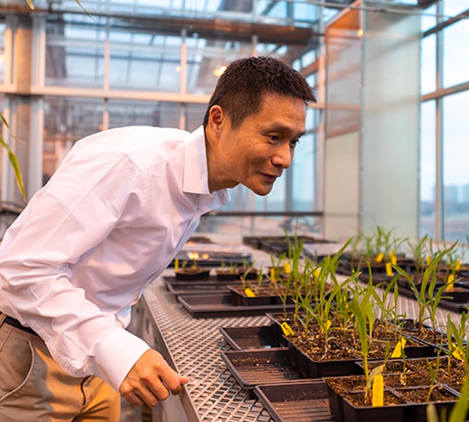 Research & Innovation at Comer Children's - UChicago Medicine