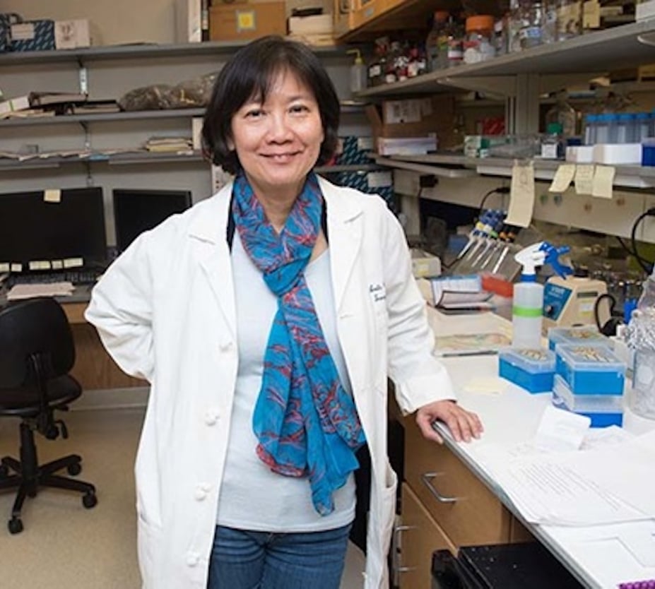 The Forefront of World Class Health Care - UChicago Medicine