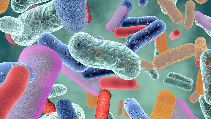 Surprising species-level diversity in our gut bacteria - UChicago Medicine