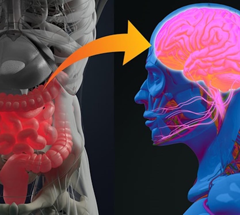 The Forefront of World Class Health Care - UChicago Medicine