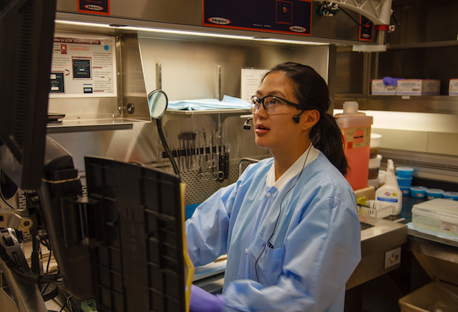 How pathologists diagnose disease and find treatments - UChicago Medicine