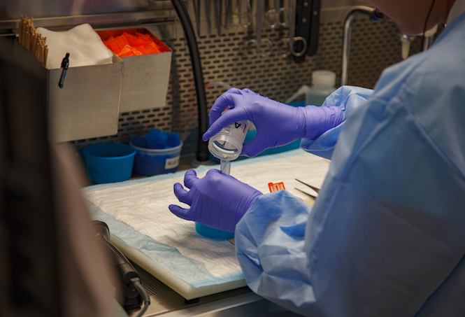 How pathologists diagnose disease and find treatments - UChicago Medicine