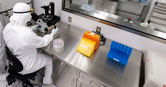 Pediatric Stem Cell & Bone Marrow Transplants - UChicago Medicine