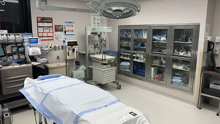 Family Birth Center - Harvey - UChicago Medicine